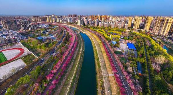 海棠市图标