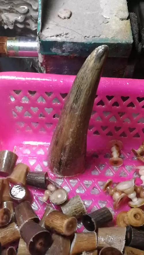 真假牦牛角图片对照图标