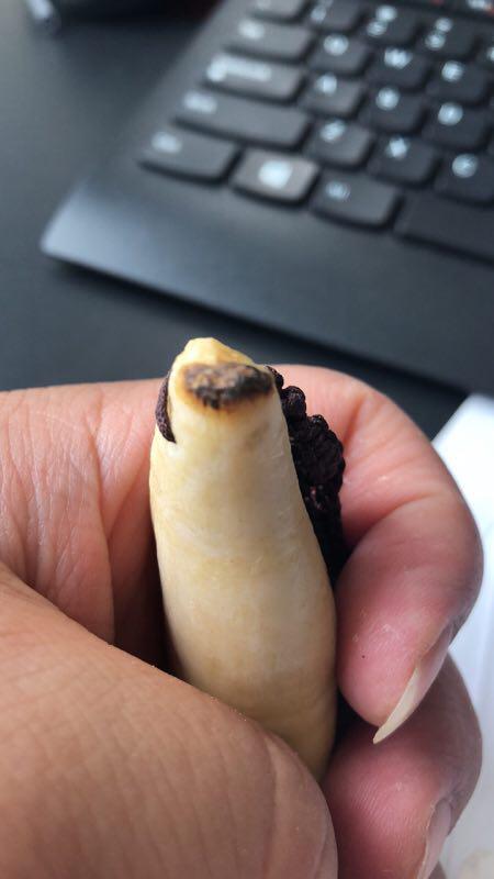鉴定老虎牙的最简单方法