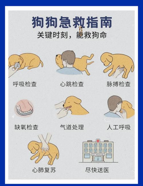 空气墙指令我的世界图标