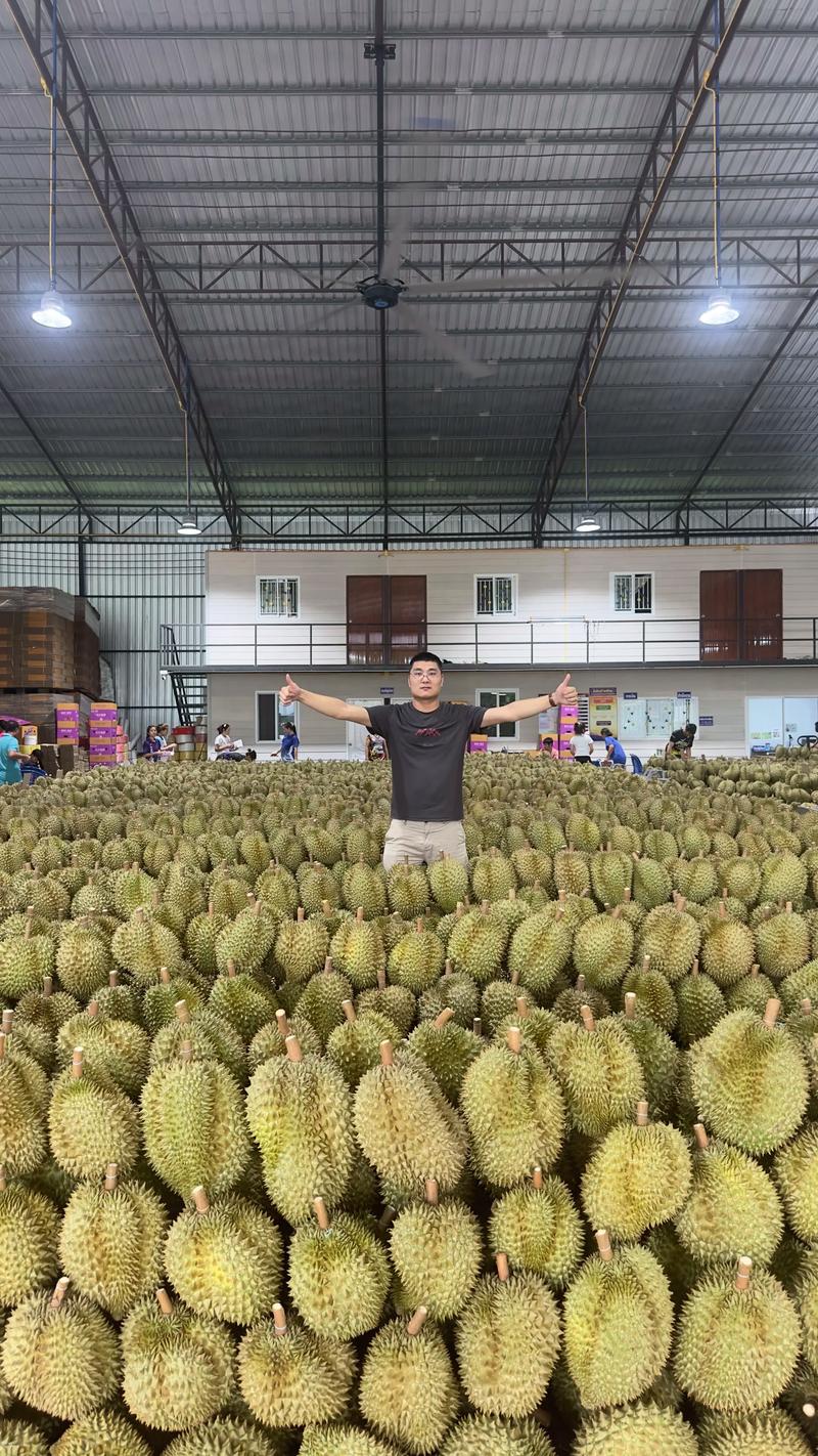 榴莲的产地是哪里图标