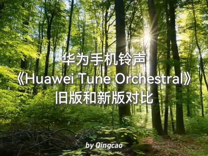 huawei tune orchestral图标