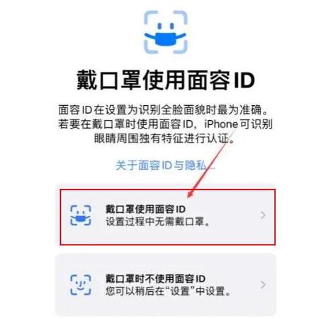 苹果手机戴口罩能识别吗图标