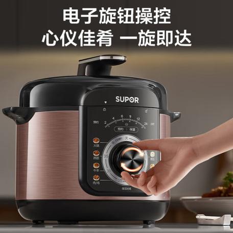 苏泊尔电高压锅面板图标