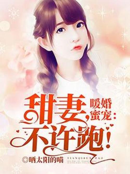 暖婚甜宠免费阅读全文截图