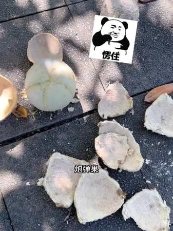 爆炸果为什么爆炸图标