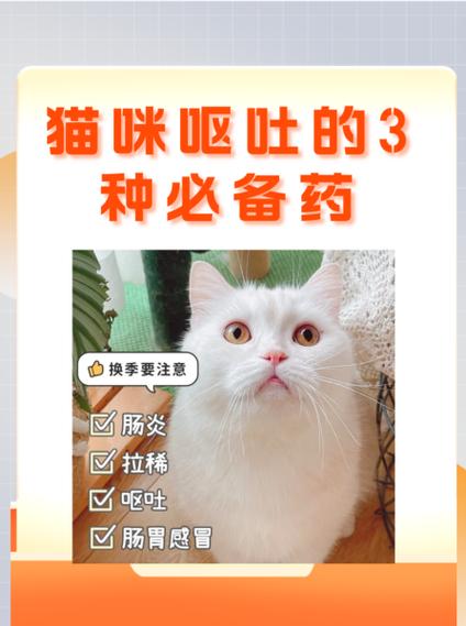 猫口吐白沫吃什么药图标