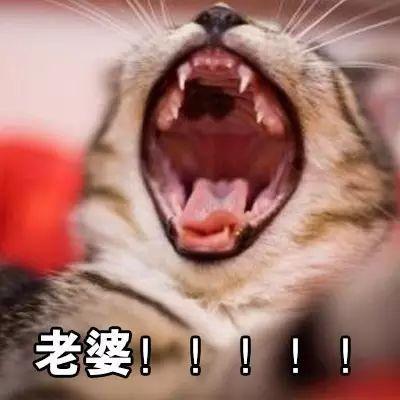 喊人表情包截图