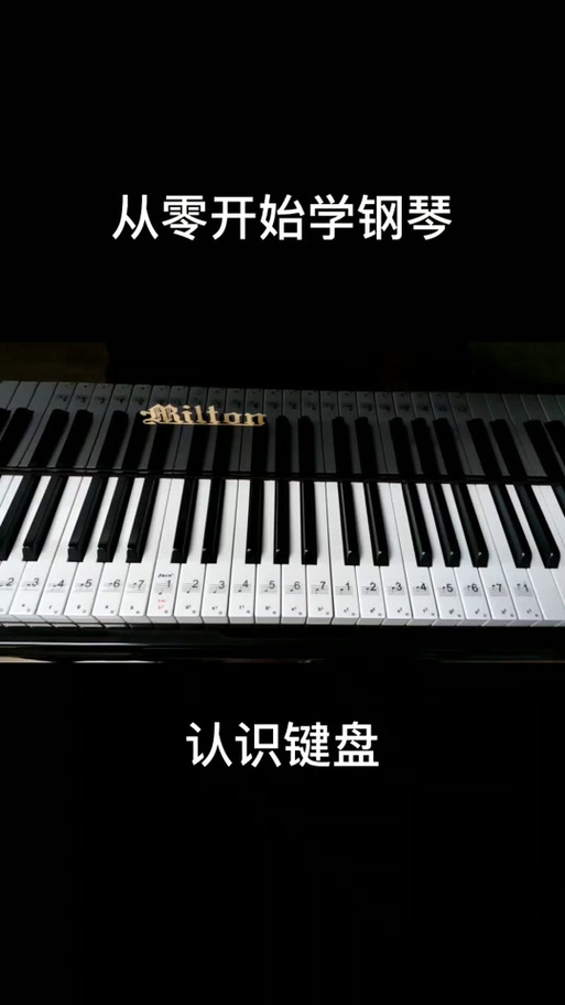钢琴什么情况下按黑键图标