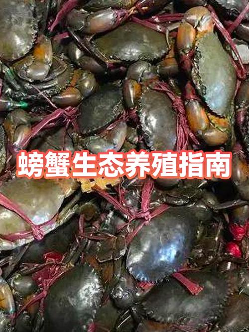 什么是生态养殖图标