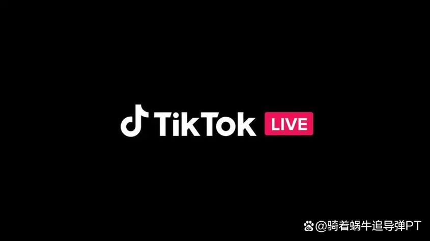tiktok免水印截图
