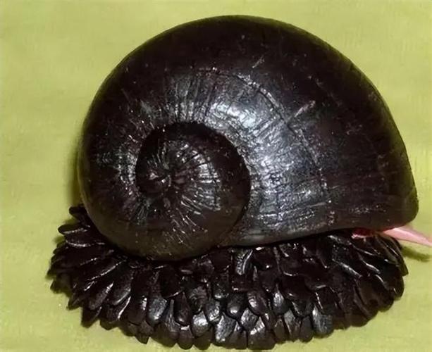 蜗牛进宅是福还是祸图标