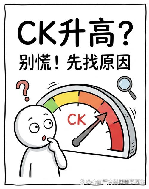 ck审计