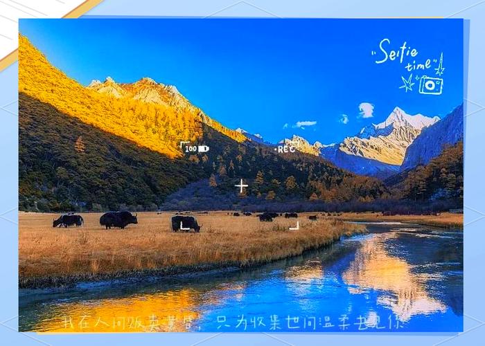 梦想之旅最新消息图标