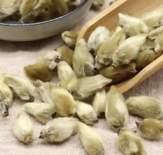 辛夷花喝多久鼻炎能好图标