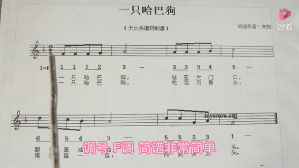 猫小帅儿歌一只哈巴狗图标