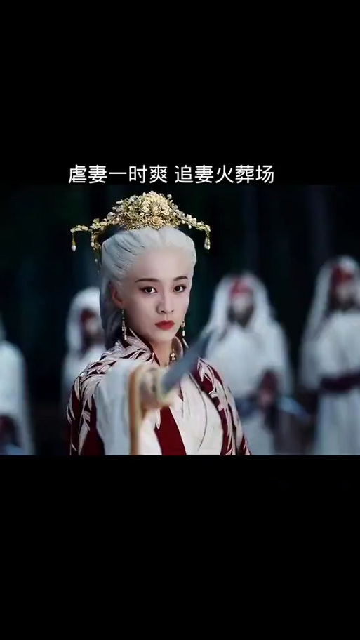 白发王妃视频免费播放图标