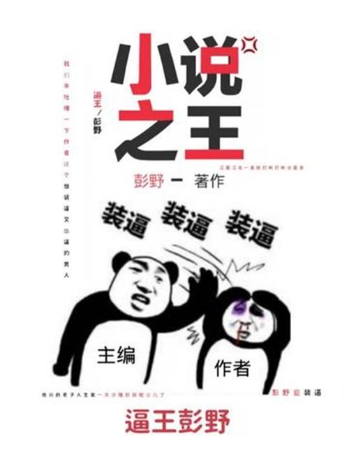 小说之王官方版图标