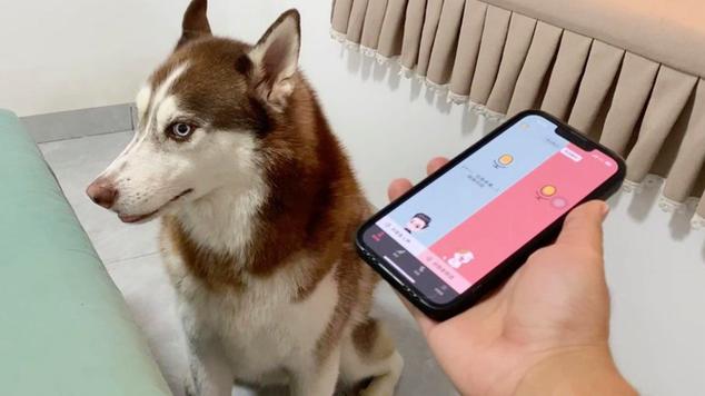 狗表情什么意思图标