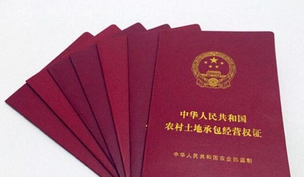 怎么查自己的土地确权证图标