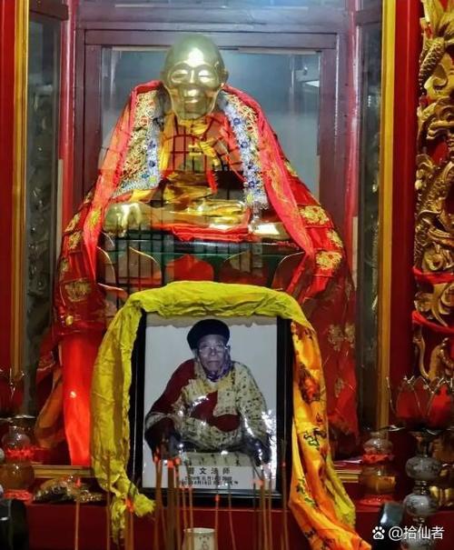 长生从照顾妻母开始图标
