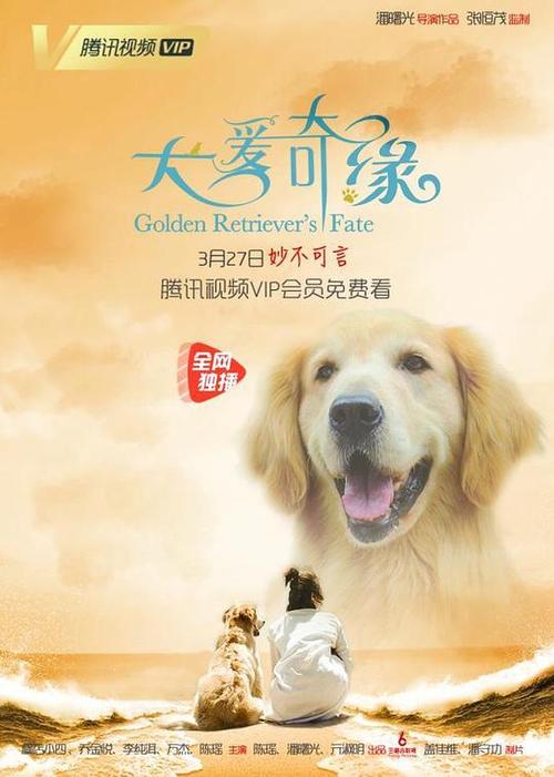 犬爱奇缘截图