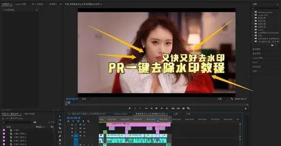 premiere去水印