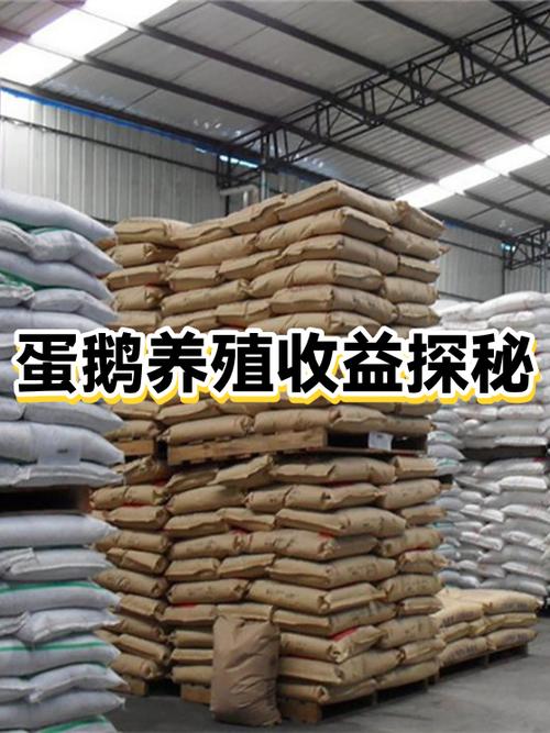 蛋鹅的养殖成本及利润截图