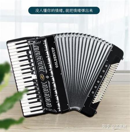 国产手风琴十大品牌截图