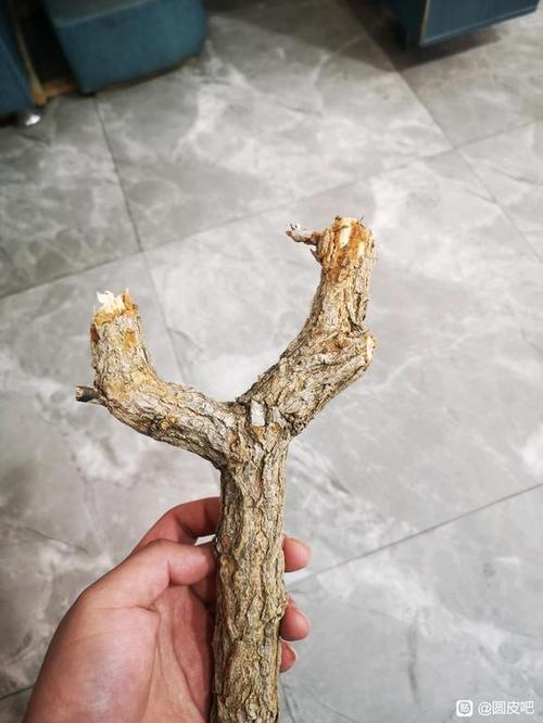 高手为什么都用圆皮无架图标