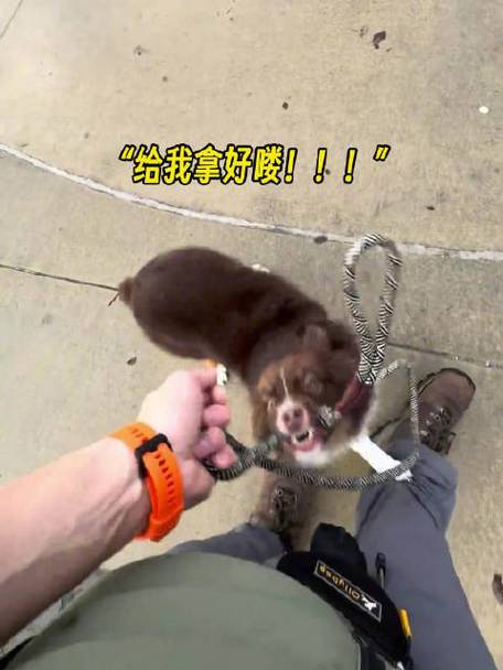 牵着狗绳狗叫了吓到别人