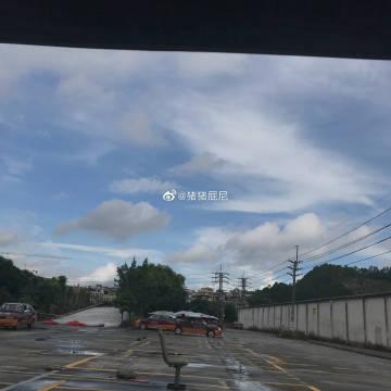 sp工作室(二)微博图标