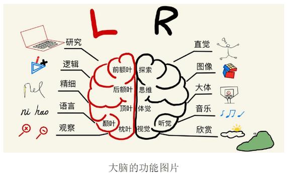 执行一点也需力打一字