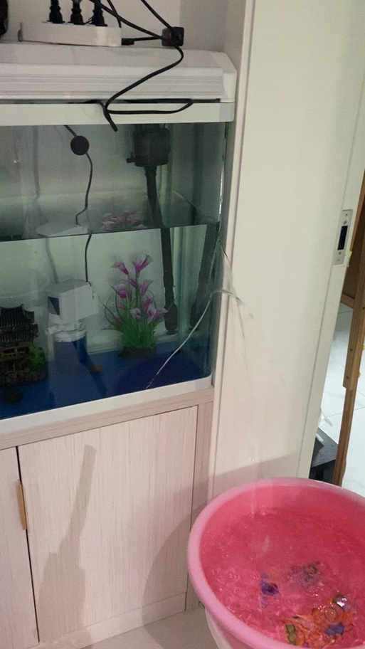 60鱼缸会爆缸吗图标
