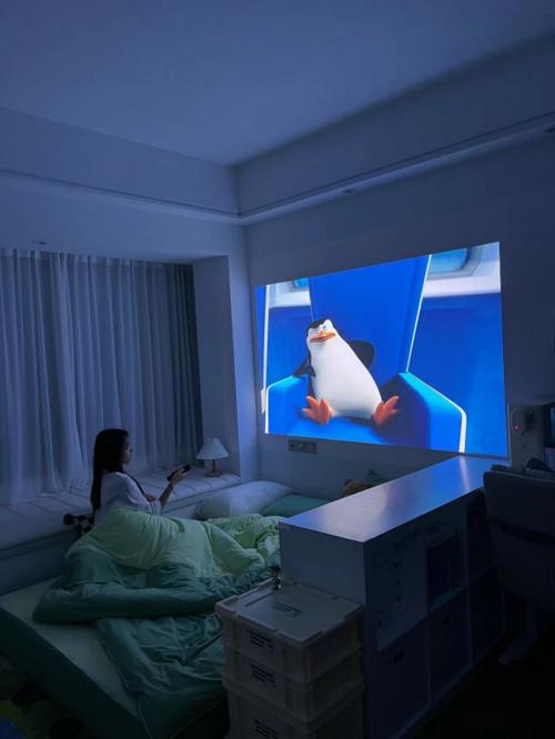 投影仪一半亮一半暗截图