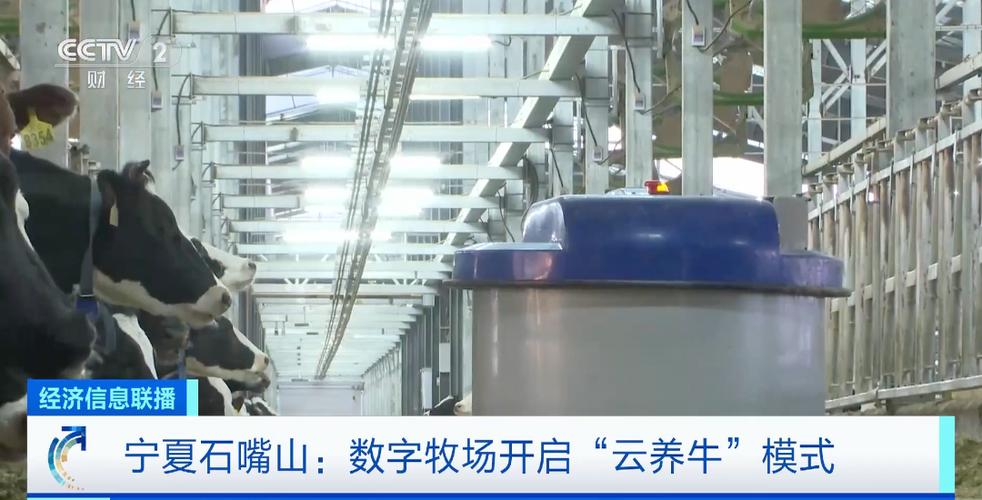 云养牛智慧牧场管理平台截图