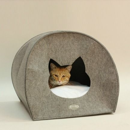 猫窝推荐截图