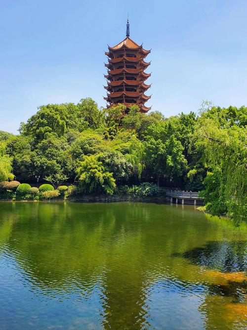 炮芯死亡公园2图标