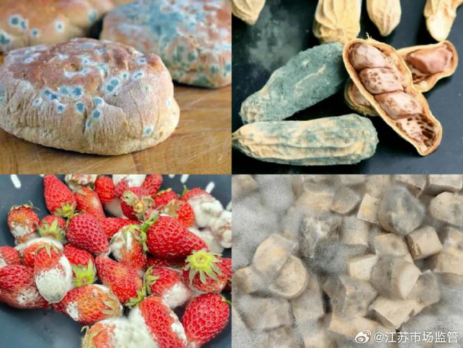 吃了变质的食物怎么办图标