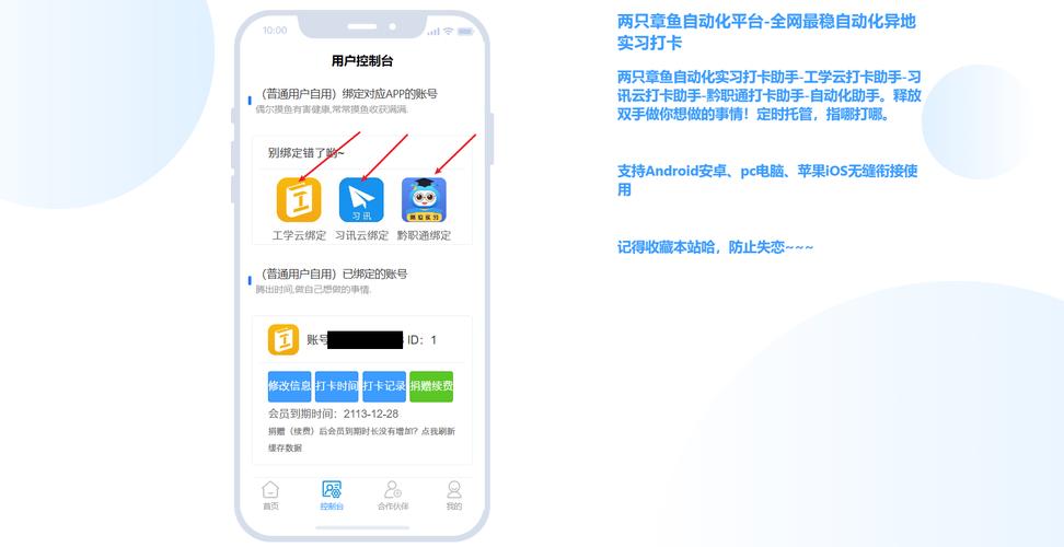 蓝鸟辅助图标