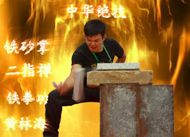 铁砂掌如何自学截图