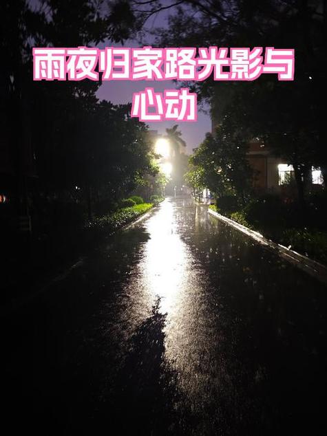 雨夜回家截图