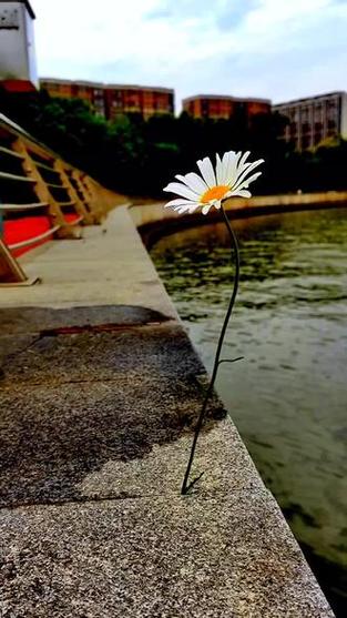 生活中的美好无处不在图标