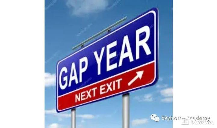 gap了一年是什么意思图标