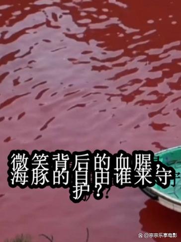 海豚湾分析图标