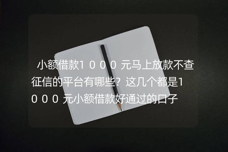 1000元小额借款口子截图
