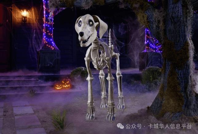 七级骷髅相当于几级狗图标
