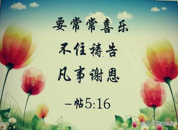 圣经最厉害三个智慧图标