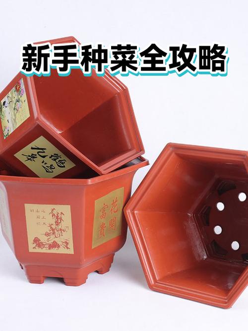 新手怎么学种菜图标