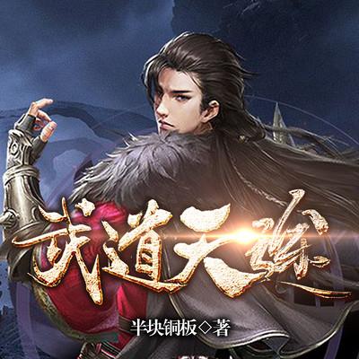 武道天途图标